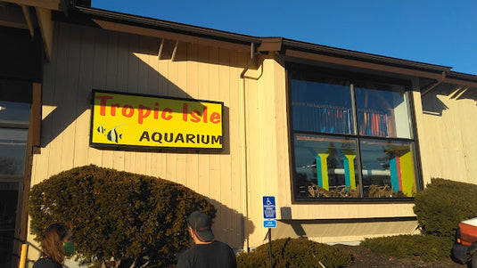 Our Store – Tropic Isle Aquarium