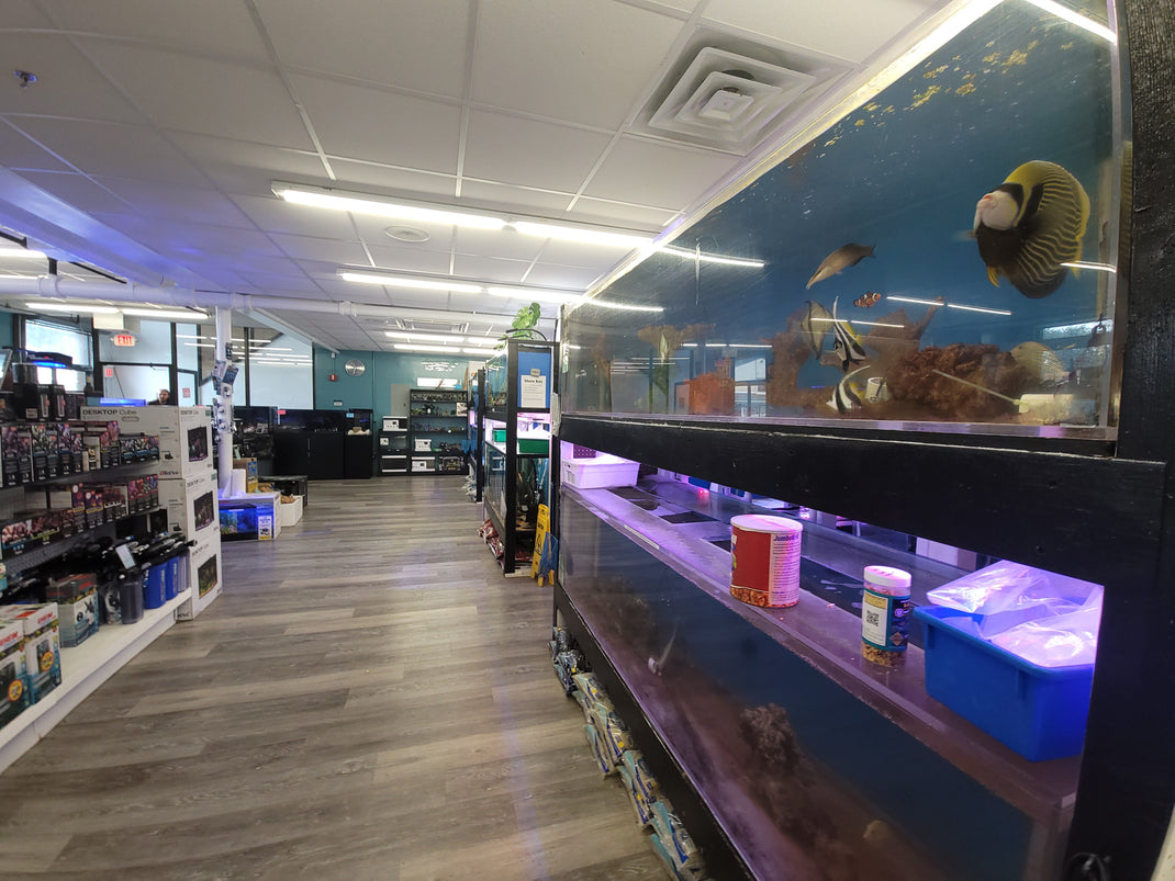 Tropic Isle Aquarium