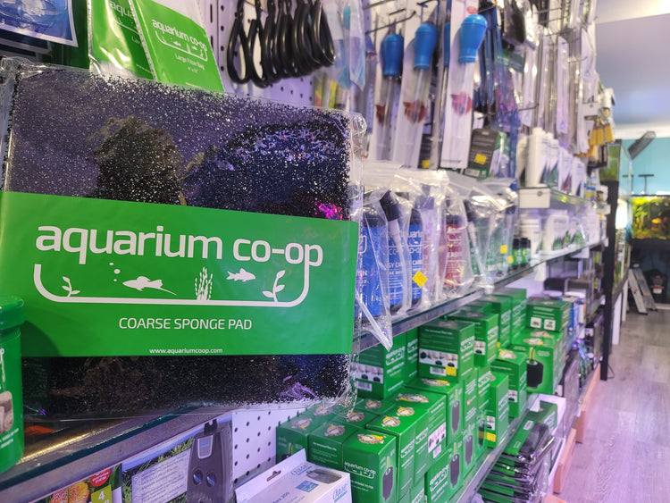 Tropic Isle Aquarium