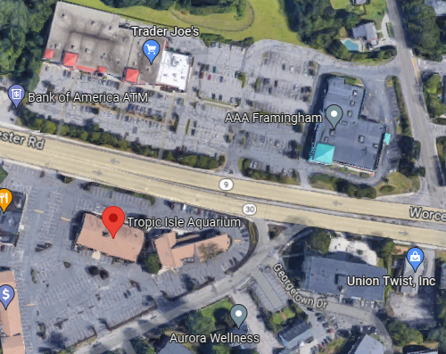 Our Store – Tropic Isle Aquarium