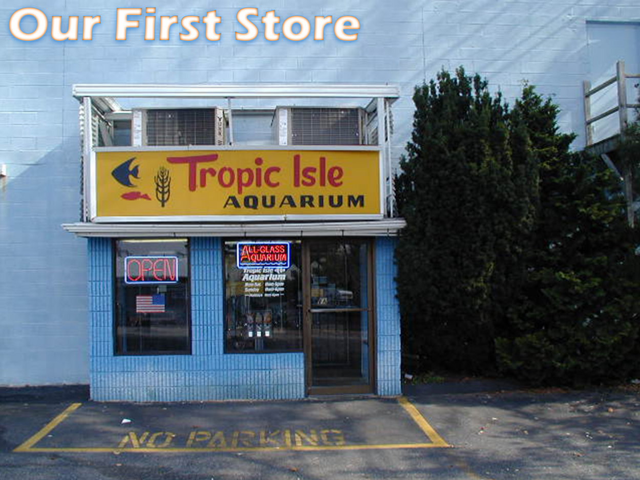 Our Store – Tropic Isle Aquarium